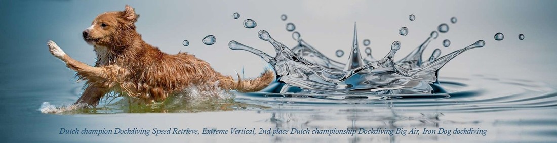 Canna Dea stud dogs – Canna Dea's